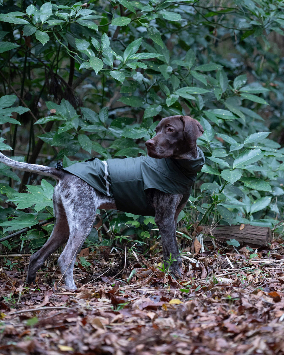 TAMA RAIN SHELL ALGA【Outlet】 ｜ muraco